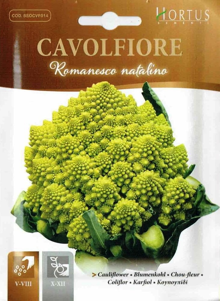 【HORTUS社】カリフラワー・ロマネスコ（黄緑サンゴ） Romanesco natalino 3g [0681][COD.BSOCVF014 ...