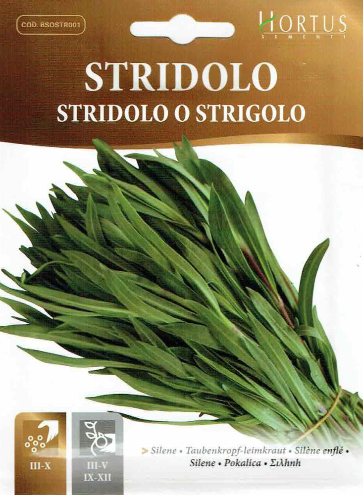 【HORTUS社】ストリドーロ STRIDOLO 1.5g [6111][COD.BSOSTR001] 【郵送対応】 | 【メーカー名からタネ ...