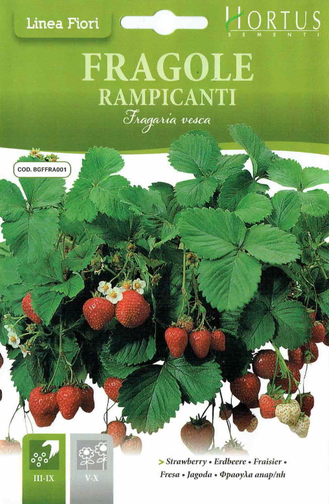HORTUS社 アルパインストロベリー Fragole-rampicanti (内容量：0.15g) [f014][COD.BGFFRA001 ...