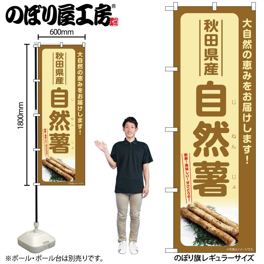 [G] のぼり 自然薯 秋田県産 SNB-7289 【受注生産★2】 | のぼり,レギュラーのぼり,レギュラーのぼり,青果,いも | のぼり屋工房 オンラインカタログ