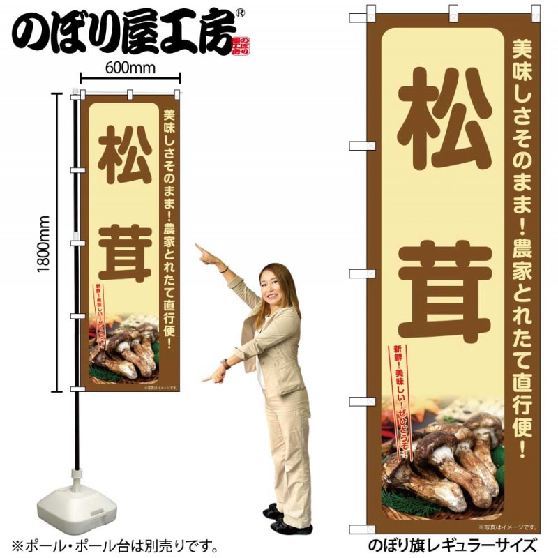 [G] のぼり 松茸 SNB-7340 【受注生産★2】 | すべての商品 | のぼり屋工房 オンラインカタログ