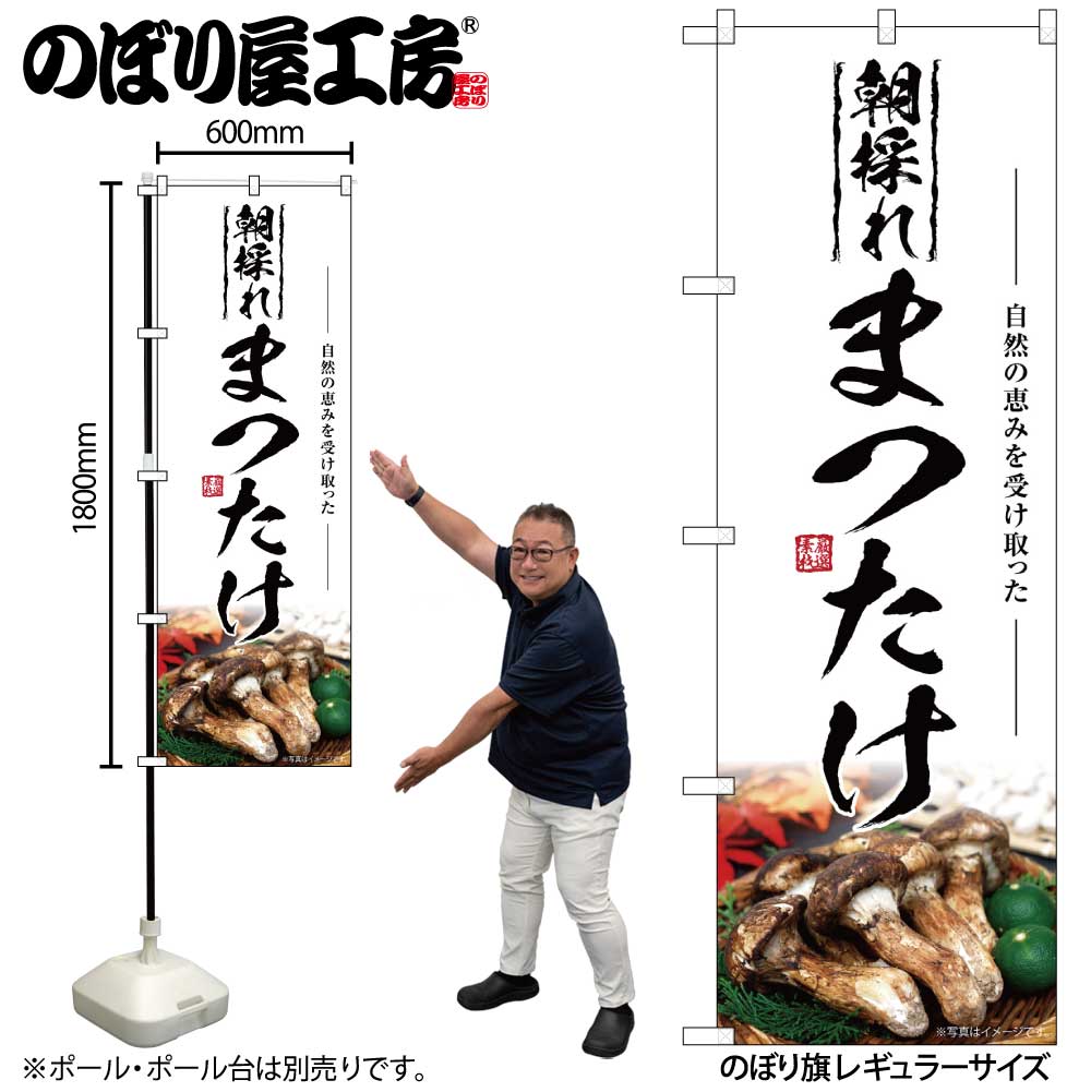 [G] のぼり まつたけ 朝採れ SNB-7428 【受注生産★2】 | すべての商品 | のぼり屋工房 オンラインカタログ