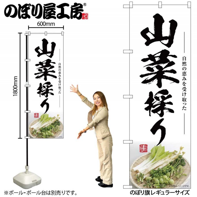 [G] のぼり 山菜採り SNB-7507 【受注生産★2】 | すべての商品 | のぼり屋工房 オンラインカタログ