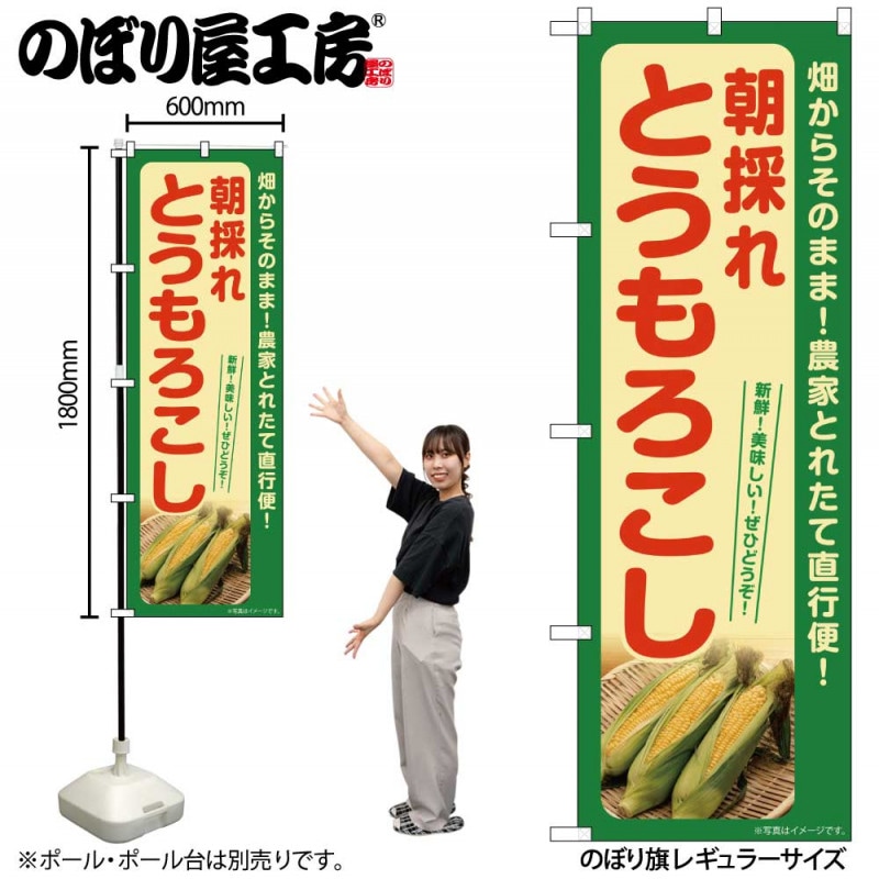 [G] のぼり とうもろこし 朝採れ（緑） SNB-7269 【受注生産★2】 | のぼり,レギュラーのぼり | のぼり屋工房 オンラインカタログ