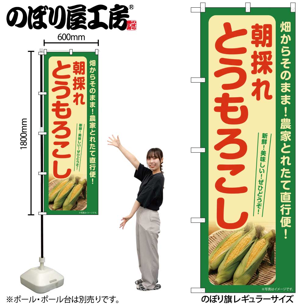 [G] のぼり とうもろこし 朝採れ（緑） SNB-7269 【受注生産★2】 | すべての商品 | のぼり屋工房 オンラインカタログ
