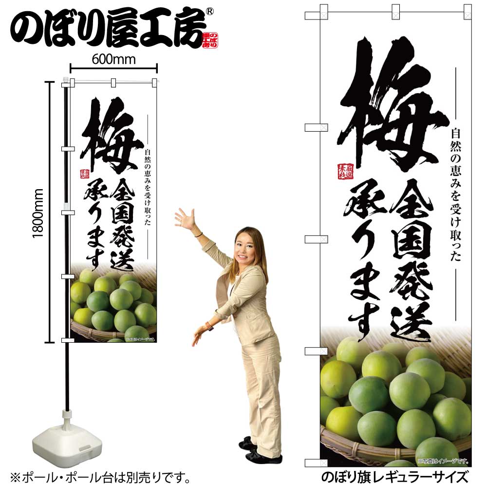 [G] のぼり 梅全国発送承ります SNB-7871 【受注生産★2】 | のぼり,レギュラーのぼり | のぼり屋工房 オンラインカタログ