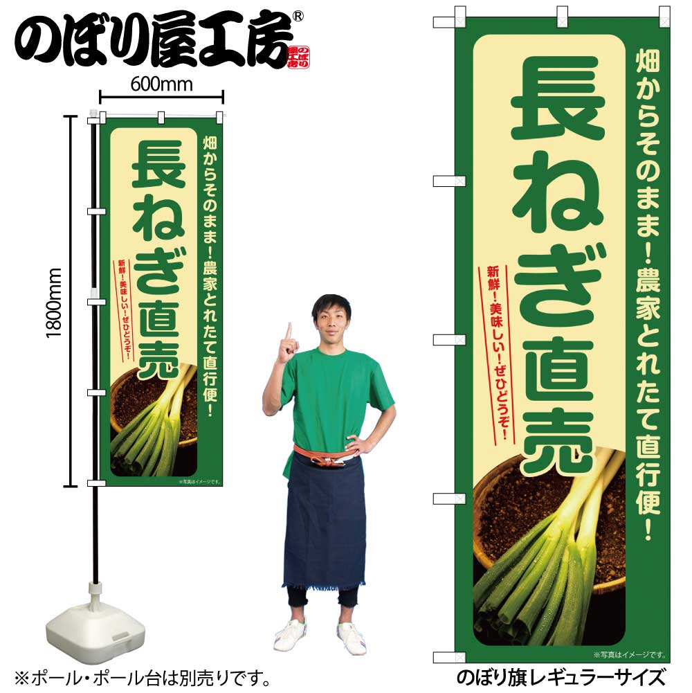 [G] のぼり 長ねぎ直売 SNB-7308 【受注生産★2】 | のぼり,レギュラーのぼり,レギュラーのぼり,青果,長ねぎ | のぼり屋工房 オンラインカタログ