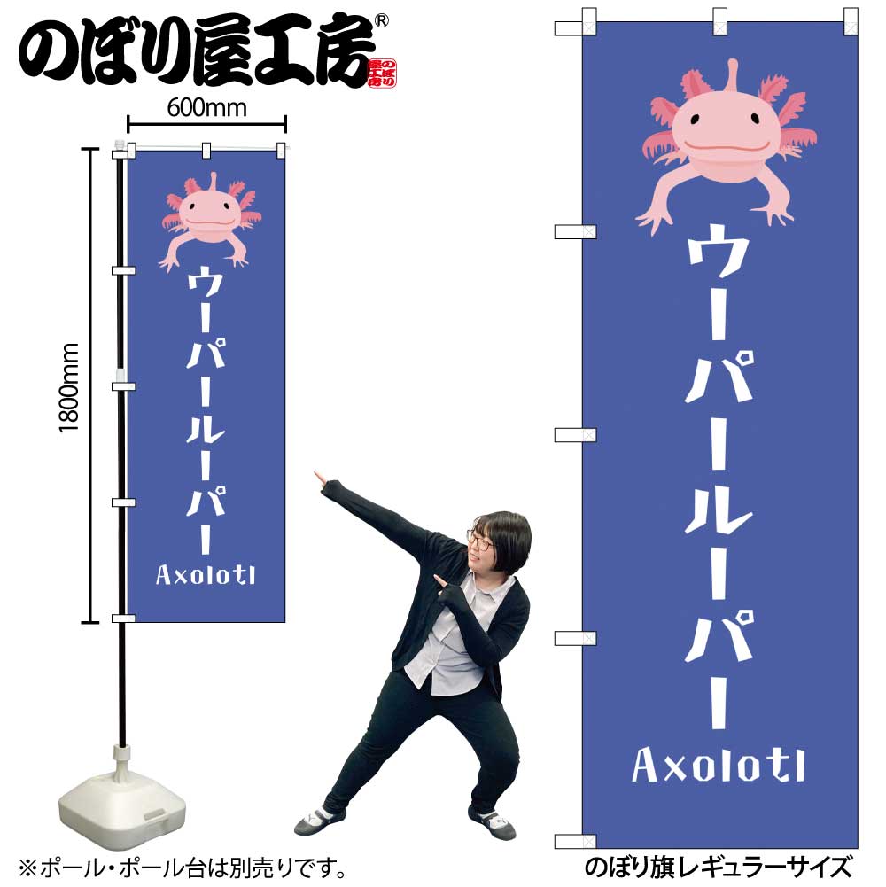 [G] のぼり ウーパールーパー GNB-3375 【受注生産品★2】 | のぼり,レギュラーのぼり | のぼり屋工房 オンラインカタログ