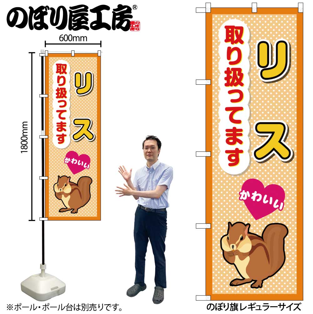 [G] のぼり リス取り扱ってます GNB-3383 【受注生産品★2】 | のぼり,レギュラーのぼり,生活,ペット | のぼり屋工房 オンラインカタログ
