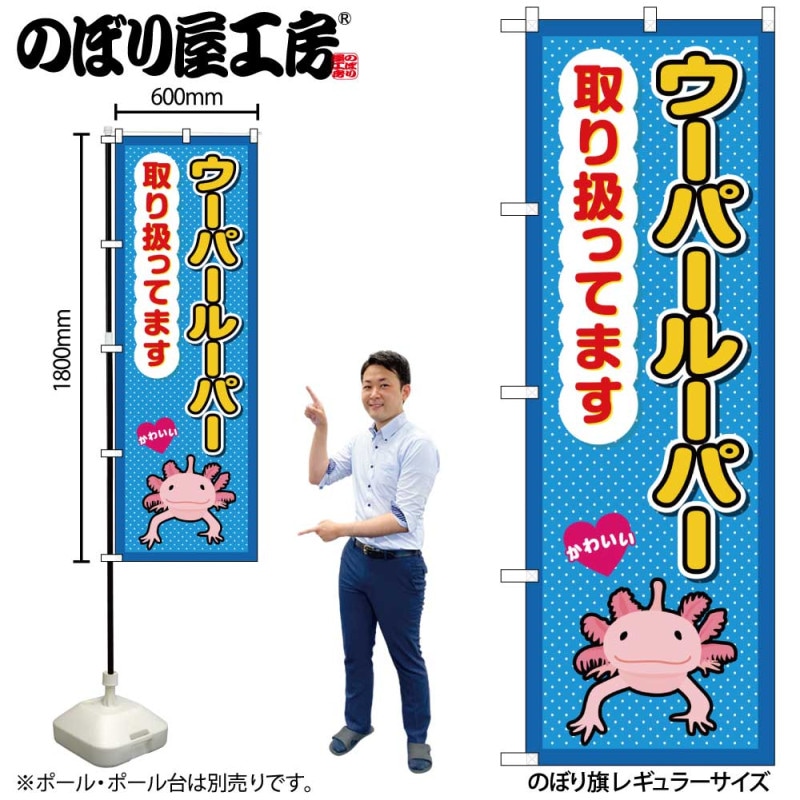 [G] のぼり ウーパールーパー取り扱ってます GNB-3387 【受注生産品★2】 | のぼり,レギュラーのぼり | のぼり屋工房 オンラインカタログ