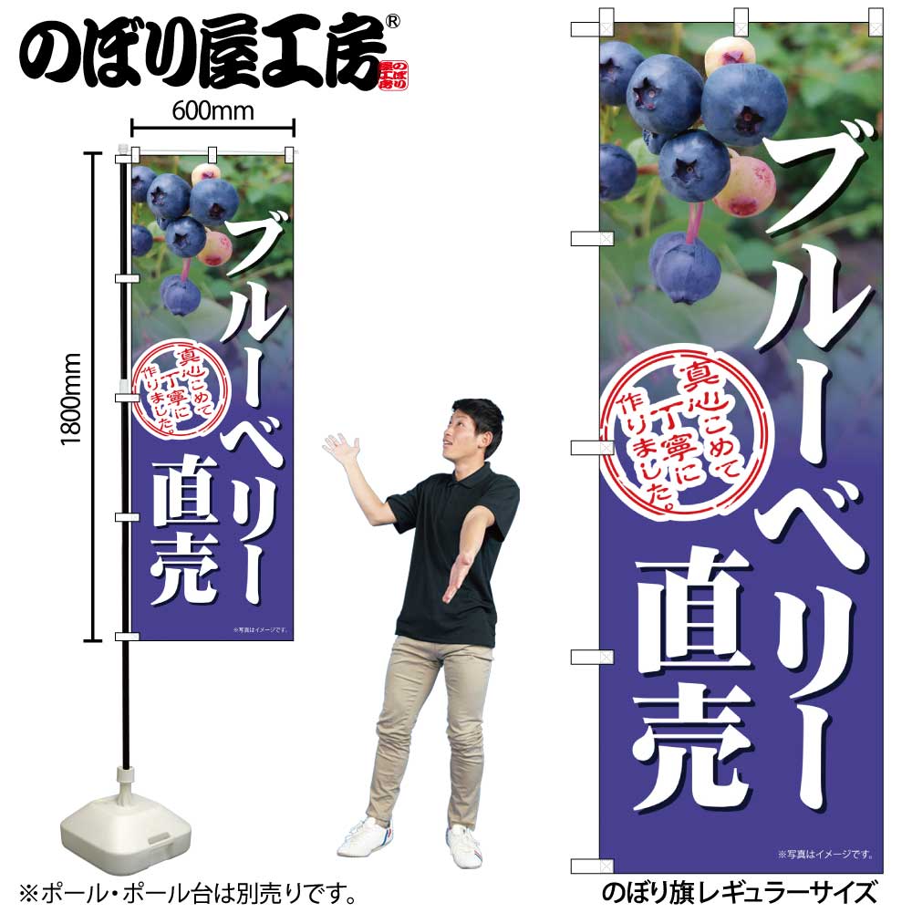 [N] のぼり ブルーベリー直売 54994 【受注生産品★2】 | のぼり,レギュラーのぼり | のぼり屋工房 オンラインカタログ