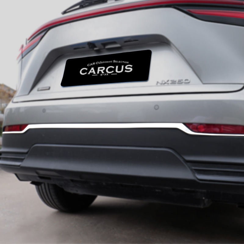 LEXUS,LEXUS NX20系 | CARCUS