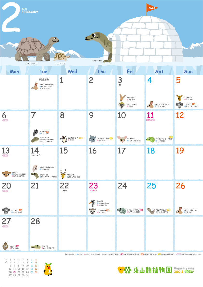 東山動植物園 2023年カレンダー 動物の誕生日・絶滅危惧カテゴリーが分かる！「アニマーサリーカレンダー」（壁掛けタイプ） | 東山動植物園公式,カレンダー | おもむきストア