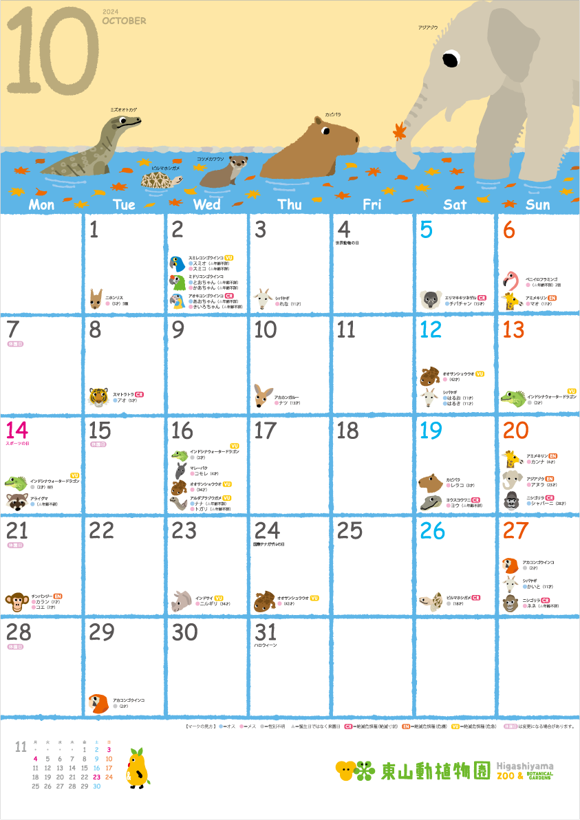 東山動植物園 2024年カレンダー 動物の誕生日・絶滅危惧種が分かる！「アニマーサリーカレンダー」（壁掛タイプ） | 東山動植物園公式,カレンダー | おもむきストア