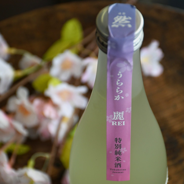 成龍酒造【日本酒】成龍然 -SEIRYO ZEN- 特別純米 生 うららか / 麗 (REI) ★桜本商店オンラインショップ【オンターブル】