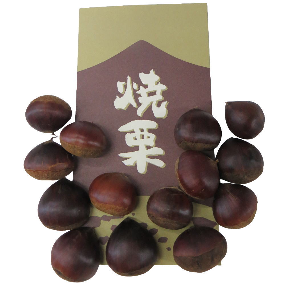 新焼栗用紙袋(中) 170 500枚入 | ポン菓子・焼き栗,ポン菓子・焼き栗 材料,袋 | イベント用品包装資材イベント包装機材ORIAKI