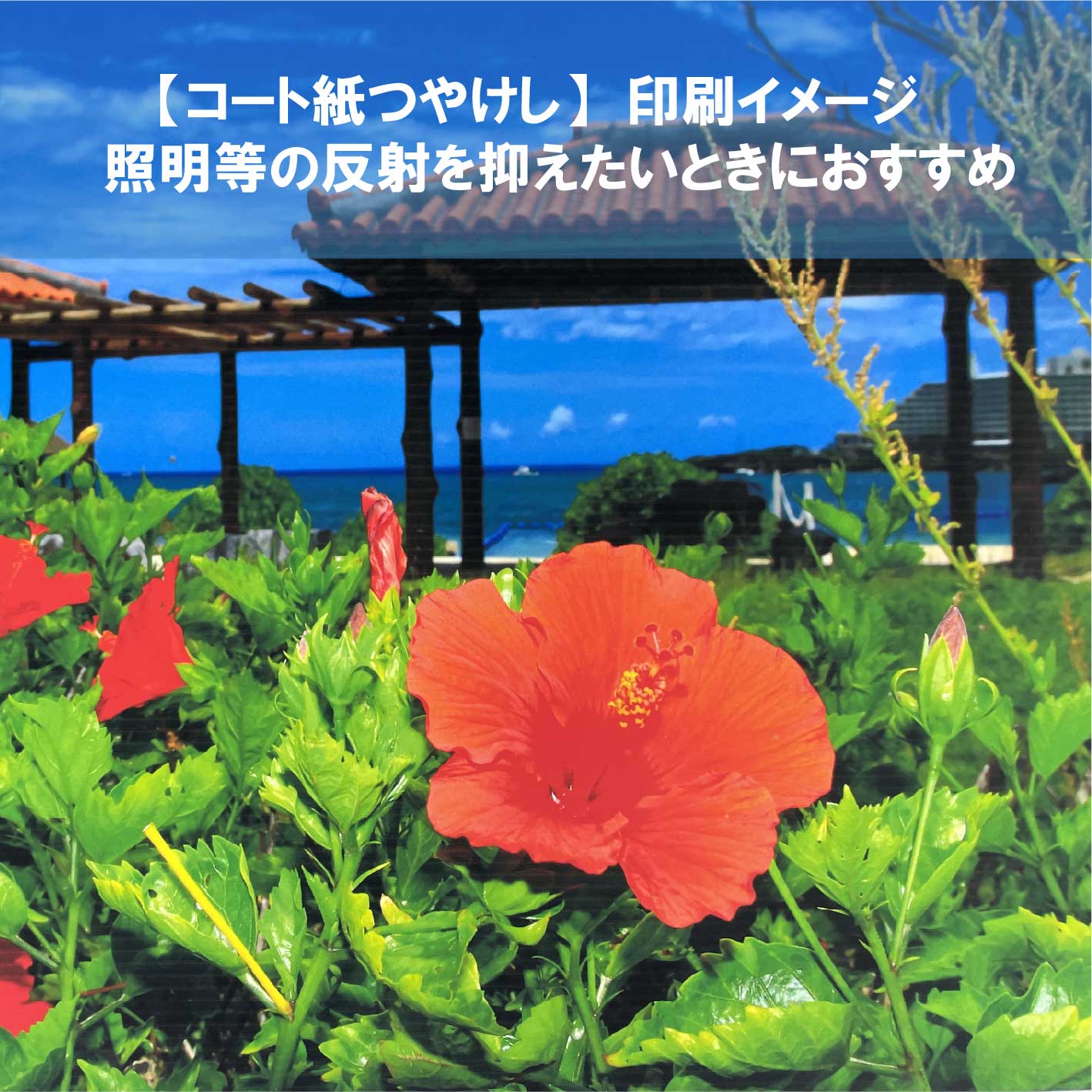 パネル印刷+アルミフレーム【B2サイズ】（コート・光沢・半光沢）｜【おすすめ】送料無料！展示パネル印刷の制作・作成が安い！