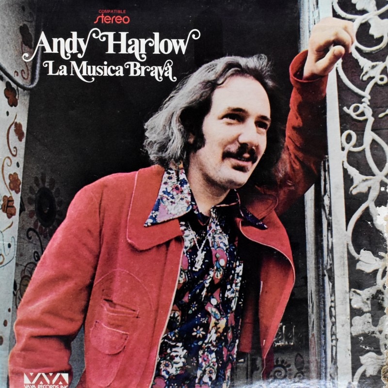 Andy Harlow - La Musica Brava [LP]｜WOLRD,SALSA｜Paddy Field Records｜中古 ...