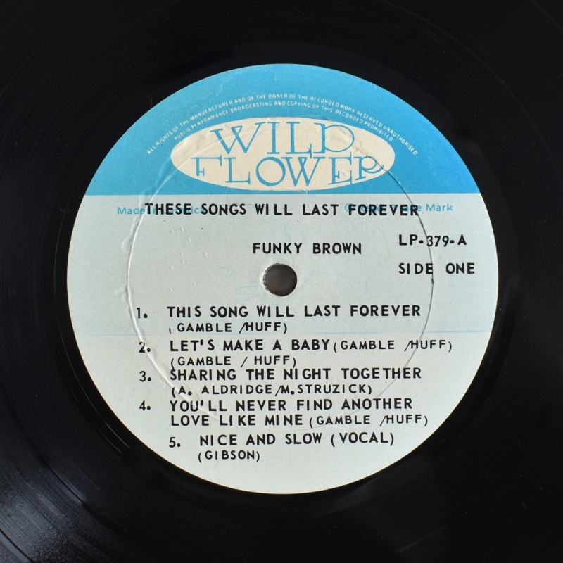 Funky Brown - These Songs Will Last Forever [LP] " For The Love Of You ...