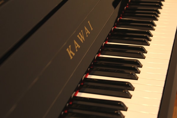 KAWAI KU10