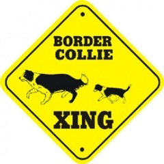 XING BORDER COLLIE 【PMP00050】 | サインボード/看板,ボーダーコリー | | PITMANIA（ピットマニア）