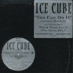 You Can Do It / Ice Cube ｜ RECORD STATION ｜ レコードステーション