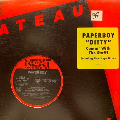 Ditty / Paperboy ｜ RECORD STATION ｜ レコードステーション