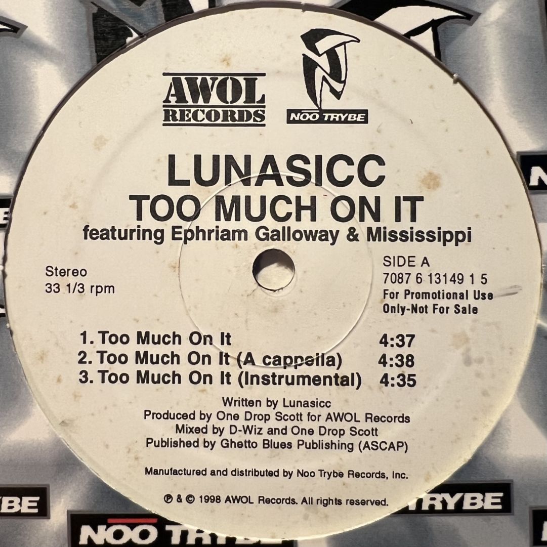 Too Much On It / Lunasicc ｜ RECORD STATION ｜ レコードステーション