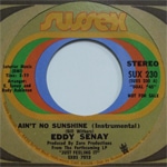 Ain't No Sunshine (45") / Eddy Senay ｜ RECORD STATION ｜ レコードステーション