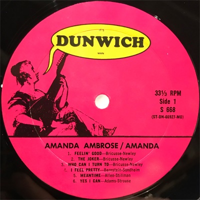 Amanda / Amanda Ambrose ｜ RECORD STATION ｜ レコードステーション