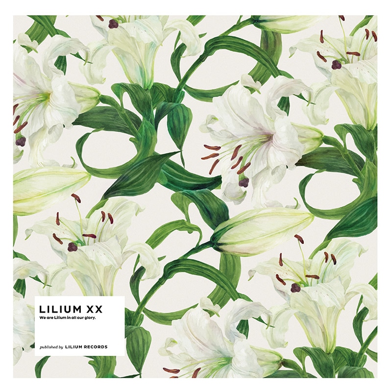 Lilium XX | OTHER LABEL,Lilium Records | TANO*C STORE