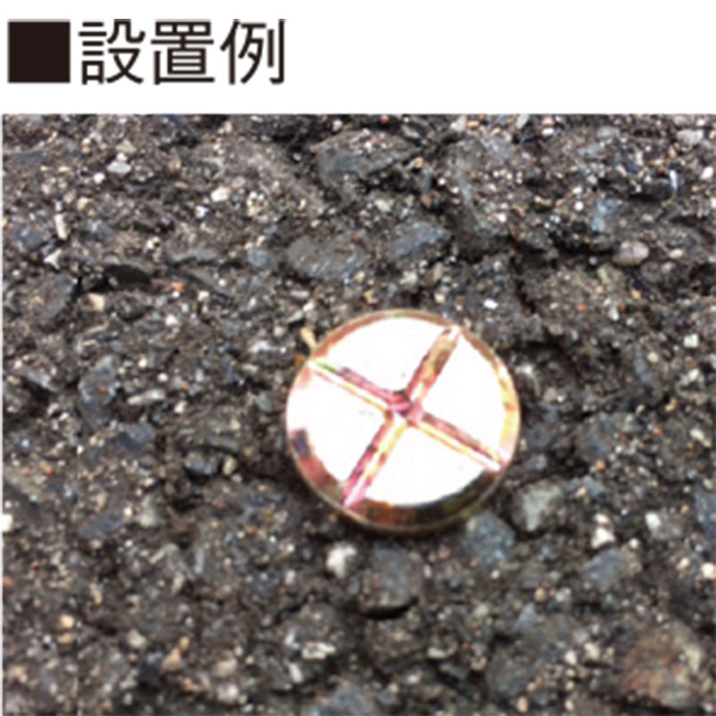 クロスネイルNO.01～NO.07 【バラ売り】 | ネイル・釘 | RIPRO STORE株式会社リプロ,杭,境界杭,測量