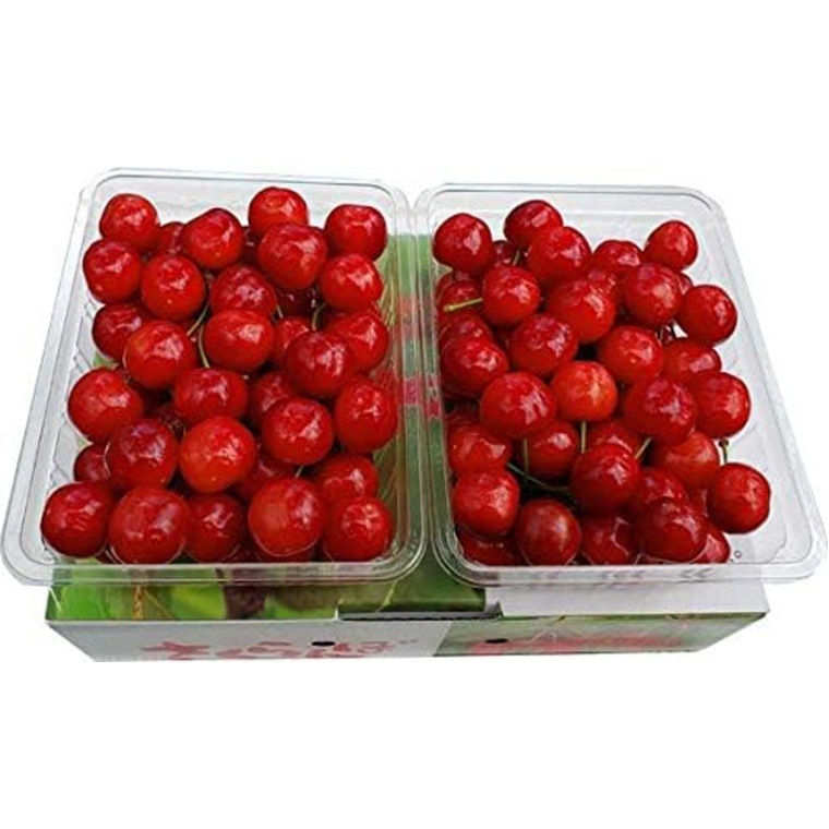 【送料無料】【7月中旬お届け】紅秀峰2L/3Lサイズ混載1kg｜ ｜さくらんぼ,紅秀峰 ｜桜庭りんご農園