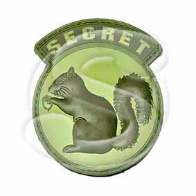 パッチ Secret Squirrel PVC Multicam patch-00098-multicam ミルスペックモンキー | MIL SPEC MONKEY | サンケンEC 玩具銃と ...