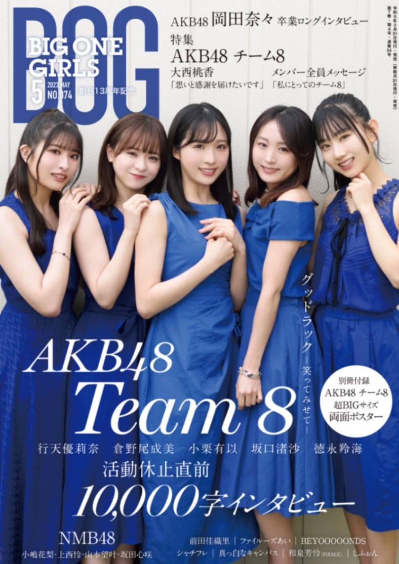 Akb48 Team 8