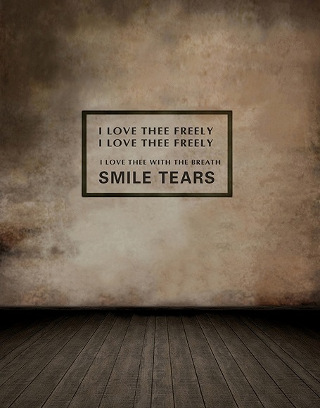 北京製B-y2485撮影用背景布★多サイズ対応(0.5m x 0.9～3m x 7m）★ | 背景布(受注生産用) 8000種以上!!,壁 ...