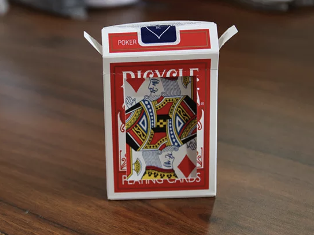 Card From Sky (GOTCHA) ｜全商品一覧や手品グッズ揃うマジックショップ｜セオマジック