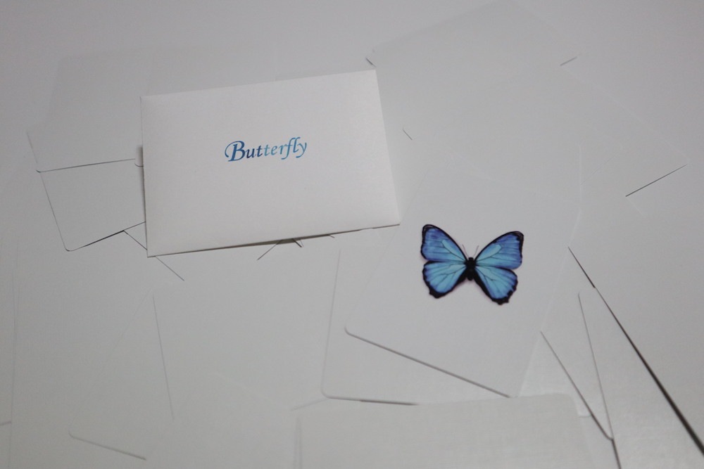 BUTTERFLY by Hugo Choi ※ ｜全商品一覧や手品グッズ揃うマジックショップ｜セオマジック