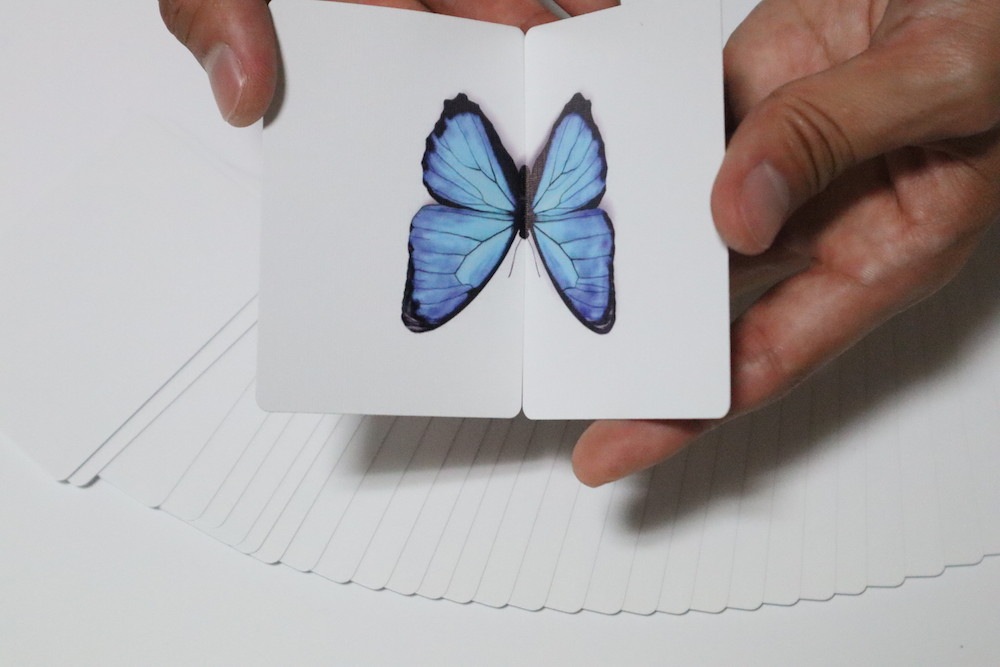 BUTTERFLY by Hugo Choi ※ ｜全商品一覧や手品グッズ揃うマジックショップ｜セオマジック
