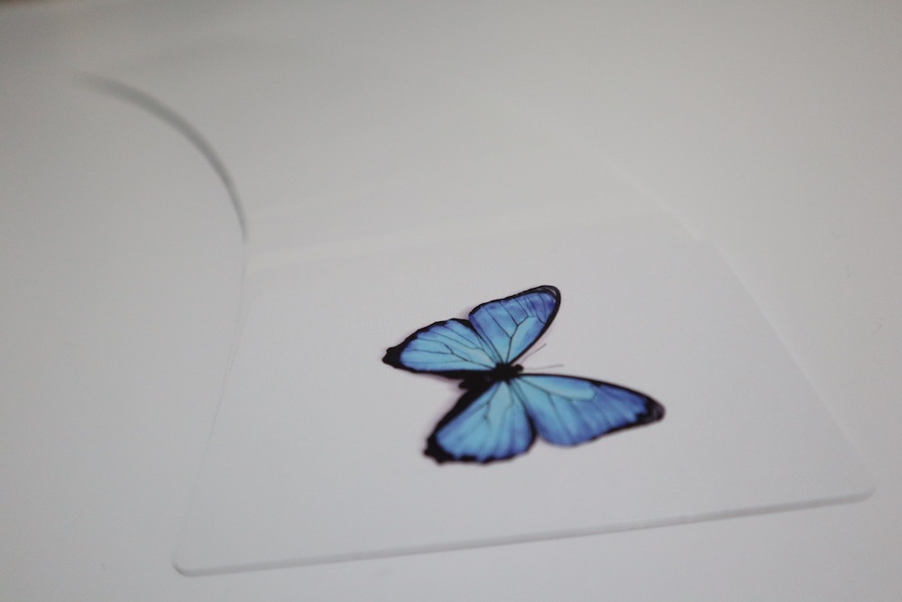 BUTTERFLY by Hugo Choi ※ ｜全商品一覧や手品グッズ揃うマジックショップ｜セオマジック