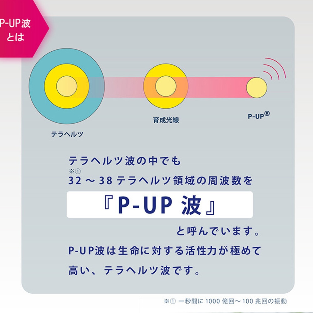 P-UP CREA トリートメントコーム ミニ / 渋谷トレンド公式オンラインショップ