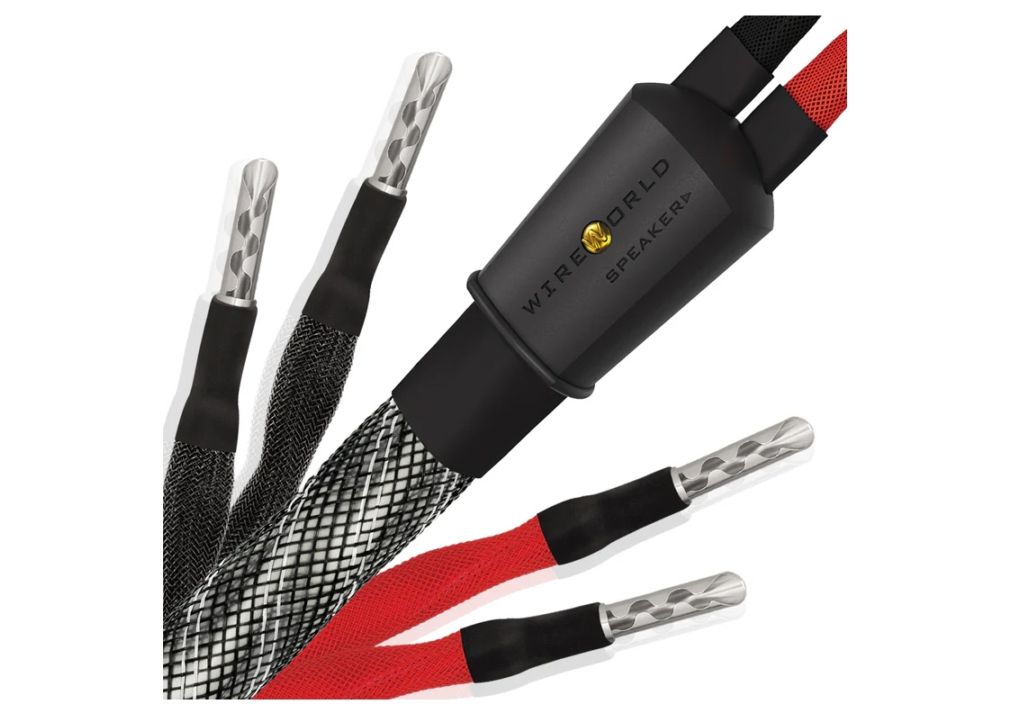 WIREWORLD PLATINUM ECLIPSE 10 (PEB10) スピーカーケーブル完成品【バイワイヤータイプ】 【お取り寄せ ...