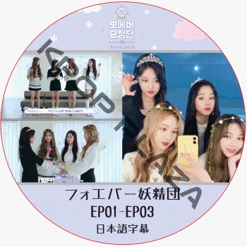 【K-POP PLAZA】KPOP DVD 韓流グッズ 専門店 新大久保 KPOPDVD