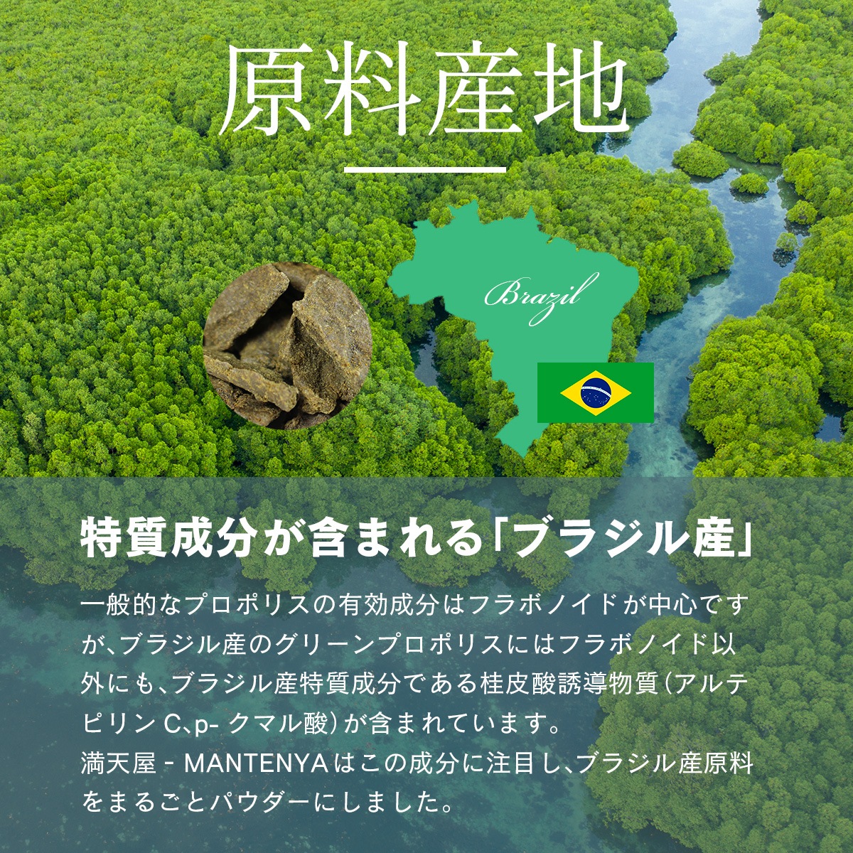 【特選粉末】プロポリスパウダー 30g ～ブラジル産 グリーンプロポリス 使用～ | プロテイン・天然サプリ,特選粉末 | 満天屋-MANTENYA 公式オンラインストア