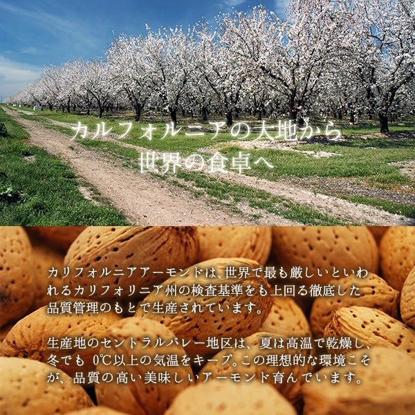 ローストアーモンド 2kg | ナッツ・シード,アーモンド | 満天屋-MANTENYA 公式オンラインストア