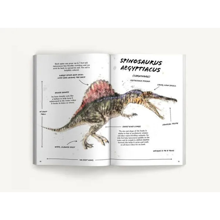 【洋書】ジ・アルティメット・ダイナソー・フィールドガイド B&N 限定版 [ケリー・ゴーティエ] The Ultimate Dinosaur ...