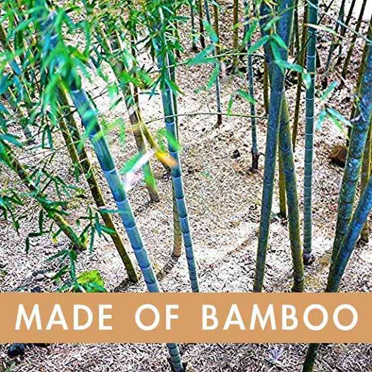 ラブース バンブー 歯ブラシ 大人用 ソフト エコ 5本セット LaBoos Best Nature Manual Color Bamboo ...