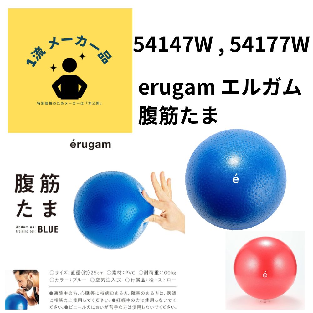 erugam エルガム 腹筋たま （カラー：2色） | トレーニング器具（個人向け） | スポーツ用品の総合通販 Sports Ohzone