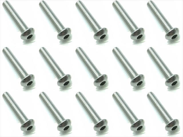 3x15 ステンレスヘックスボタンビス 15本入 3x15 Stainless steel hex Pan Head Screw (15 ...