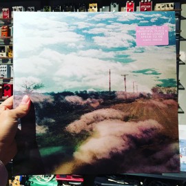 THE WORLD IS A BEAUTIFUL PLACE... / Harmlessness 2xLP+MP3 | STIFF SLACK ...